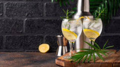 Gin Glasses: The Complete Guide! How to Choose & Where to Buy?
