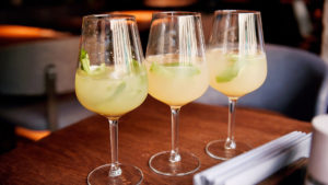 Gin Glasses: The Complete Guide! How to Choose & Where to Buy?