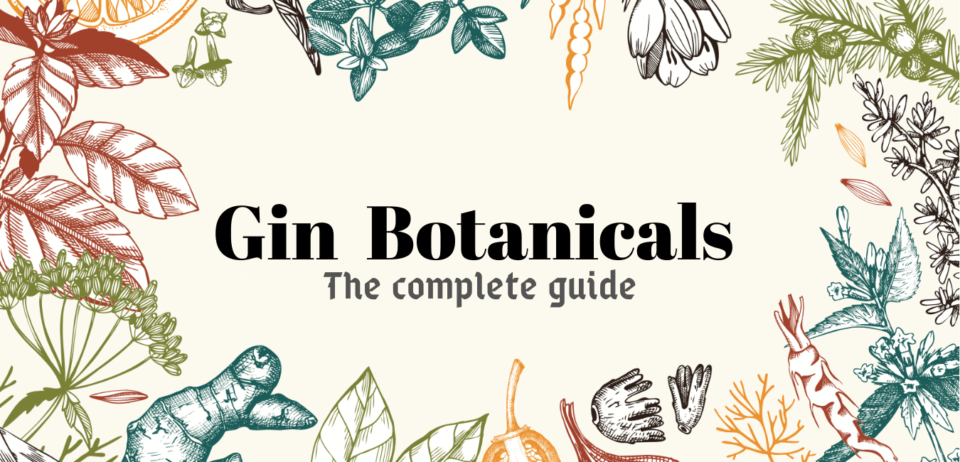 Gin Botanicals: The Spices That Create The Flavor Profile - The Gin ...